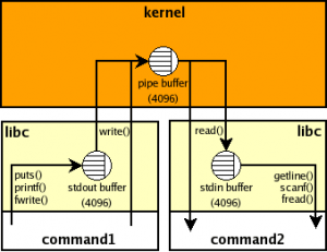 Linux 標準串流（Standard Streams）的緩衝區（Buffer）問題 – G. T. Wang