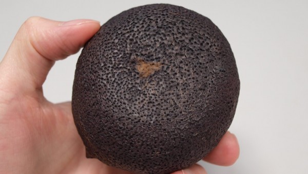 客家酸柑茶（Bitter Orange Tea）：臺灣唯一的緊壓茶 – G. T. Wang