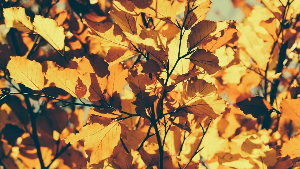 R Leaflet 地圖套件：繪製網頁互動式地圖，呈現經緯度座標資料 – G. T. Wang