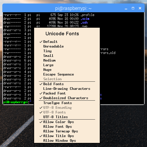 Linux Xterm G T Wang