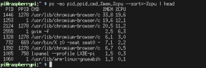 Linux 用 ps 與 top 指令找出最耗費 CPU 與記憶體資源的程式 – G. T. Wang