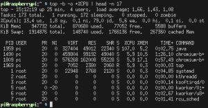 Linux 用 ps 與 top 指令找出最耗費 CPU 與記憶體資源的程式 – G. T. Wang