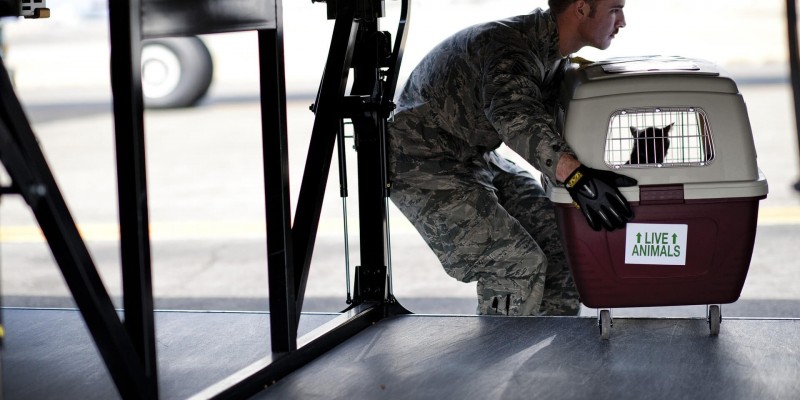 G. T. Wang – 第 45 頁 – 分享 GNU/Linux 與 Open Source 技術、教學文件、程式設計技巧、統計研究與生活點滴記錄