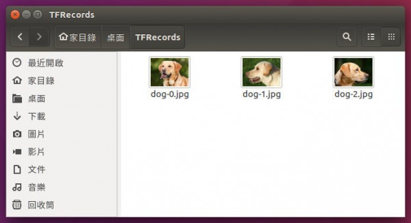 TensorFlow 寫入與讀取 TFRecords 檔案格式教學 – G. T. Wang
