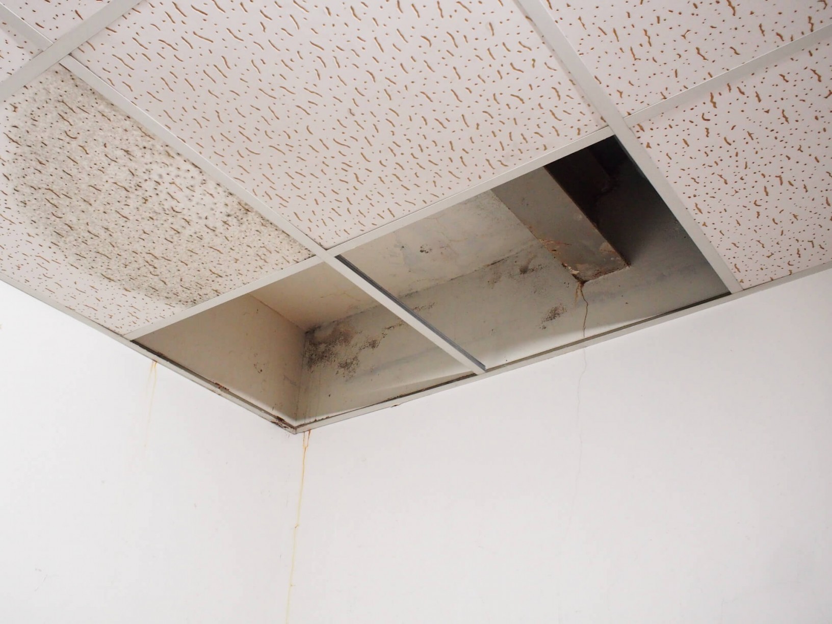 [DIY] 自己更換輕鋼架 PVC 天花板記錄 – G. T. Wang