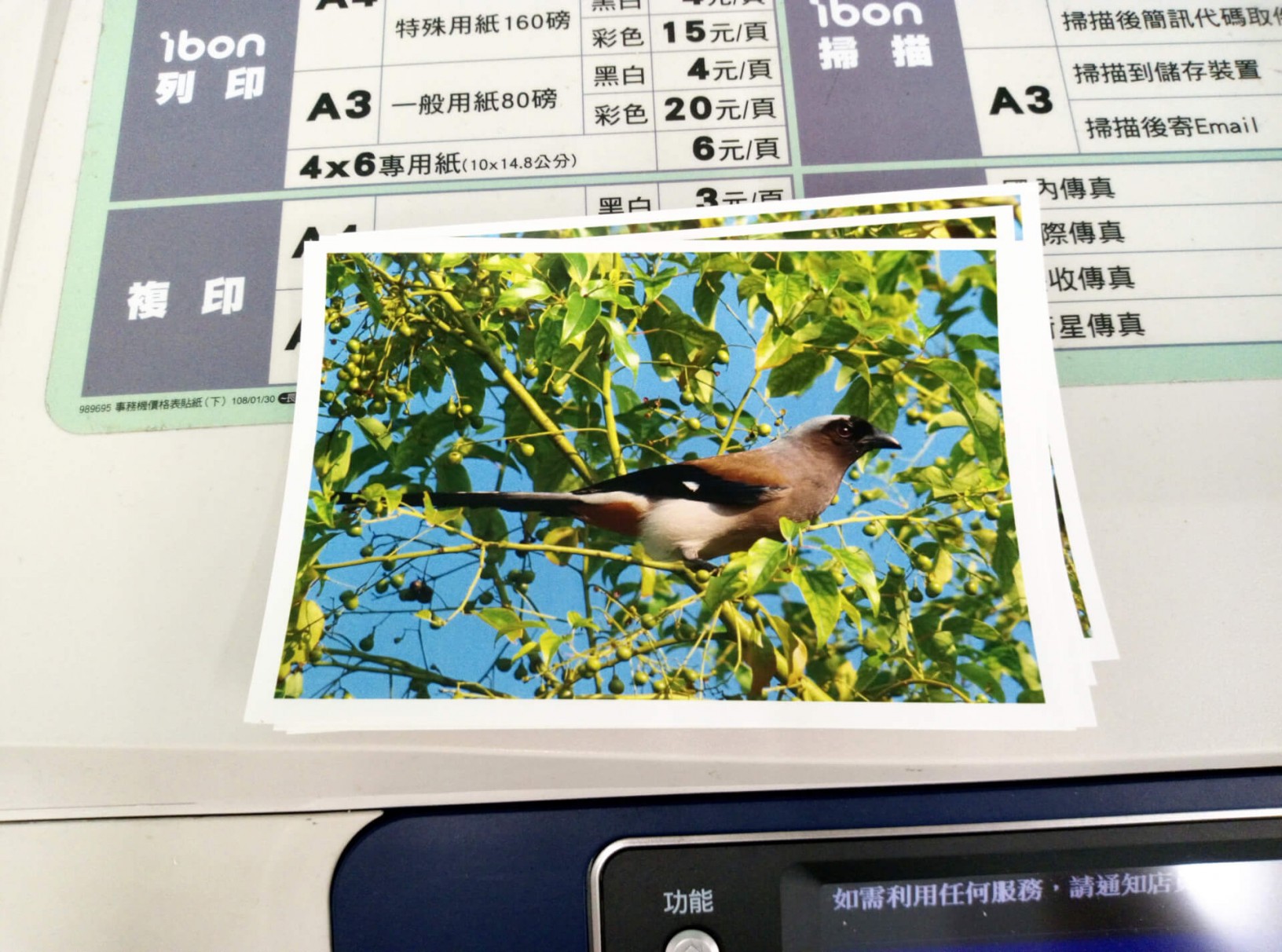 7-ELEVEN ibon 列印照片、明信片教學 – G. T. Wang